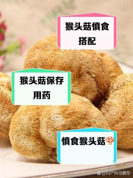 新鲜猴头菇怎么做好吃_如何保存不变质-第2张图片-山城妙识