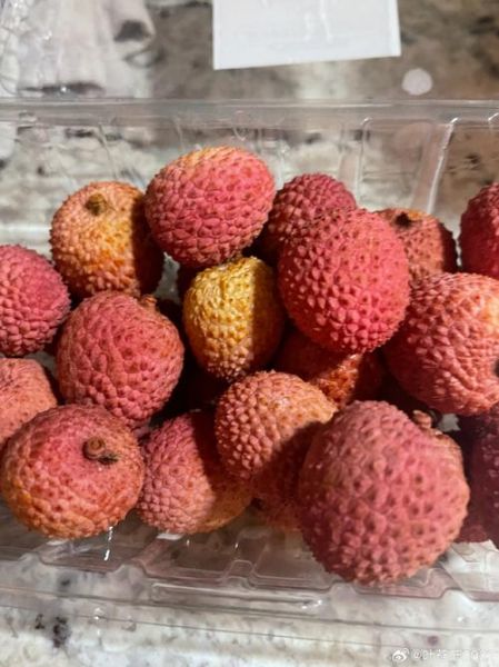 荔枝很甜_为什么有的荔枝不甜-第3张图片-山城妙识 荔枝很甜_为什么有的荔枝不甜-第3张图片-山城妙识