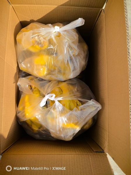 盐水鸡是哪里的特产_盐水鸡起源地-第3张图片-山城妙识 盐水鸡是哪里的特产_盐水鸡起源地-第3张图片-山城妙识