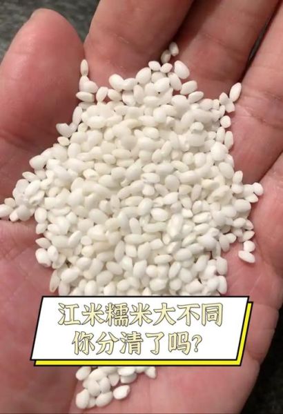江米和糯米是一种米吗_两者区别与用途-第1张图片-山城妙识 江米和糯米是一种米吗_两者区别与用途-第1张图片-山城妙识