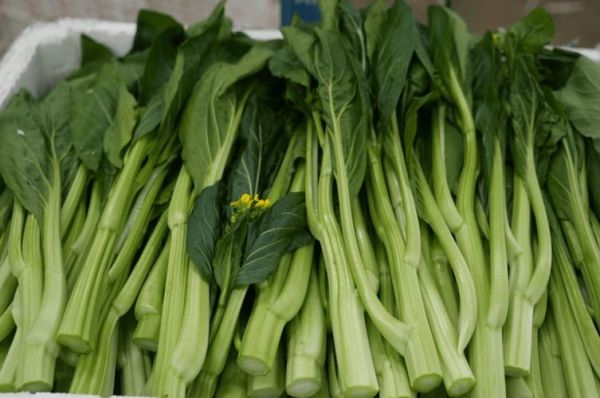 菜心别名叫什么_菜心又叫什么名字-第1张图片-山城妙识 菜心别名叫什么_菜心又叫什么名字-第1张图片-山城妙识