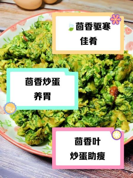 大茴香叶子怎么吃_大茴香叶子做法大全-第1张图片-山城妙识 大茴香叶子怎么吃_大茴香叶子做法大全-第1张图片-山城妙识