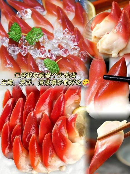 北极贝是什么_北极贝和北极贝刺身区别-第2张图片-山城妙识 北极贝是什么_北极贝和北极贝刺身区别-第2张图片-山城妙识