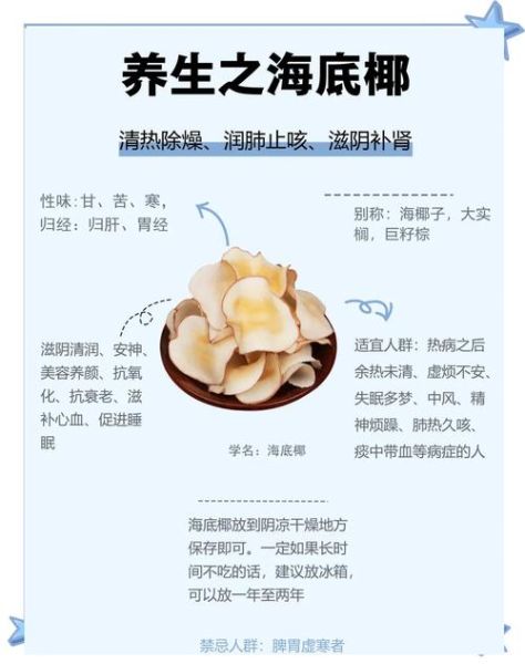 海底椰煲汤的做法_海底椰煲汤的功效-第1张图片-山城妙识