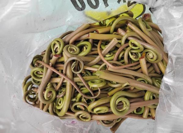 广东菜野菜有哪些_广东野菜怎么吃-第1张图片-山城妙识 广东菜野菜有哪些_广东野菜怎么吃-第1张图片-山城妙识