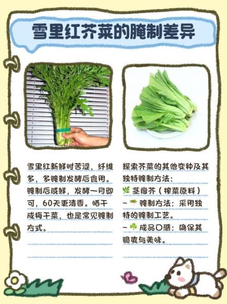 野生雪里红菜图片大全_如何辨别真假-第2张图片-山城妙识 野生雪里红菜图片大全_如何辨别真假-第2张图片-山城妙识