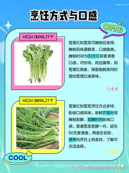 野生雪里红菜图片大全_如何辨别真假-第3张图片-山城妙识 野生雪里红菜图片大全_如何辨别真假-第3张图片-山城妙识