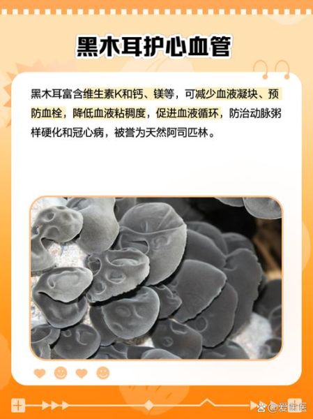 云耳和木耳哪个好_区别与功效对比-第3张图片-山城妙识