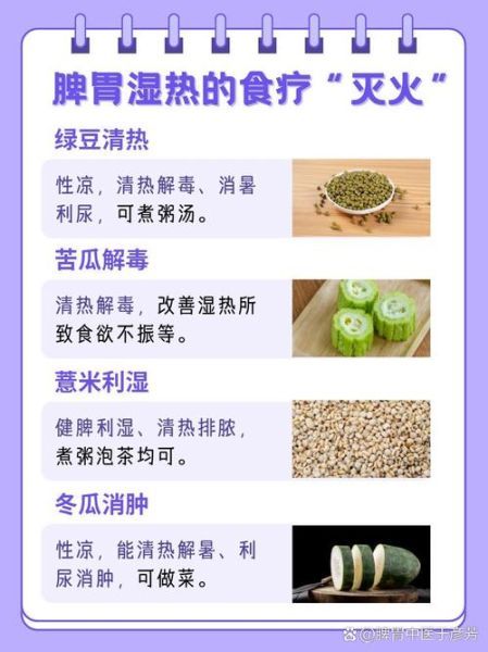 湿热体质怎么调理最快_湿热体质吃什么好-第3张图片-山城妙识 湿热体质怎么调理最快_湿热体质吃什么好-第3张图片-山城妙识