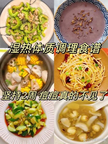 湿热体质怎么调理最快_湿热体质吃什么好-第2张图片-山城妙识 湿热体质怎么调理最快_湿热体质吃什么好-第2张图片-山城妙识