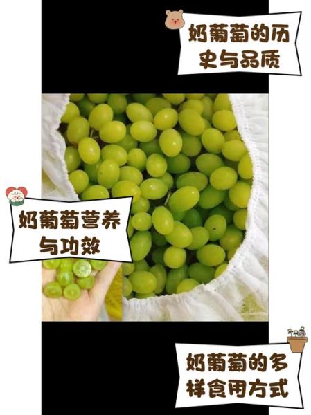 牛奶葡萄的营养价值_牛奶葡萄适合减肥吗-第3张图片-山城妙识 牛奶葡萄的营养价值_牛奶葡萄适合减肥吗-第3张图片-山城妙识