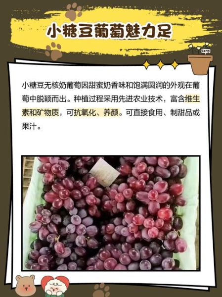 牛奶葡萄的营养价值_牛奶葡萄适合减肥吗-第2张图片-山城妙识 牛奶葡萄的营养价值_牛奶葡萄适合减肥吗-第2张图片-山城妙识