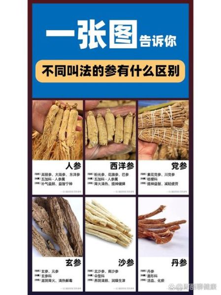 白参和人参有什么区别_功效差异与选购指南-第3张图片-山城妙识