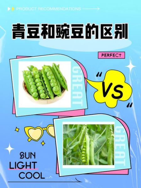青豆和豌豆哪个营养好_青豆豌豆营养价值对比-第1张图片-山城妙识