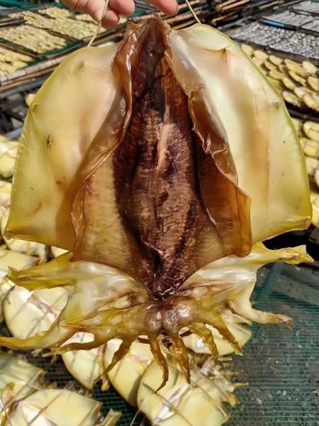 墨鱼干怎么泡发_墨鱼干的家常做法-第3张图片-山城妙识