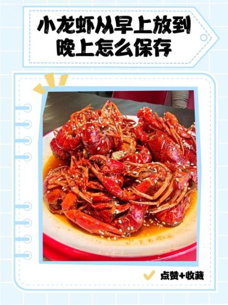 活龙虾怎么保存_活龙虾图片怎么看新鲜度-第2张图片-山城妙识