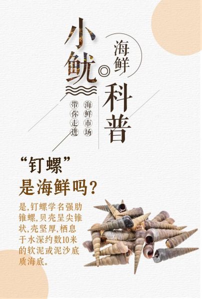 钉螺是淡水还是海水_钉螺生活在什么环境-第1张图片-山城妙识 钉螺是淡水还是海水_钉螺生活在什么环境-第1张图片-山城妙识