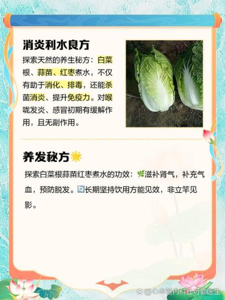 白菜根的功效与作用_白菜根怎么吃最养生-第1张图片-山城妙识