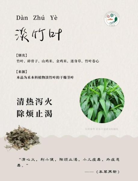 淡竹叶的功效与作用_淡竹叶主治什么病-第1张图片-山城妙识 淡竹叶的功效与作用_淡竹叶主治什么病-第1张图片-山城妙识