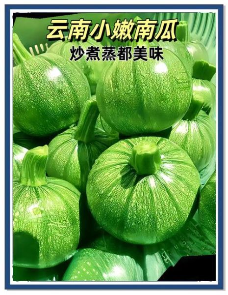 炒嫩南瓜怎么做好吃_炒嫩南瓜需要焯水吗-第2张图片-山城妙识