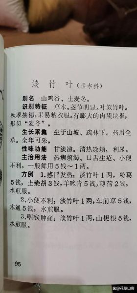 淡竹叶的功效与作用_淡竹叶主治什么病-第3张图片-山城妙识 淡竹叶的功效与作用_淡竹叶主治什么病-第3张图片-山城妙识