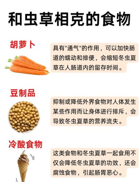 虫草花不能和什么一起吃_虫草花相克食物有哪些-第2张图片-山城妙识