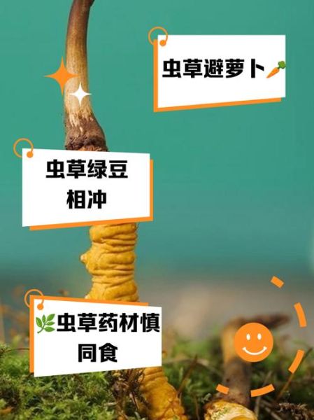 虫草花不能和什么一起吃_虫草花相克食物有哪些-第3张图片-山城妙识