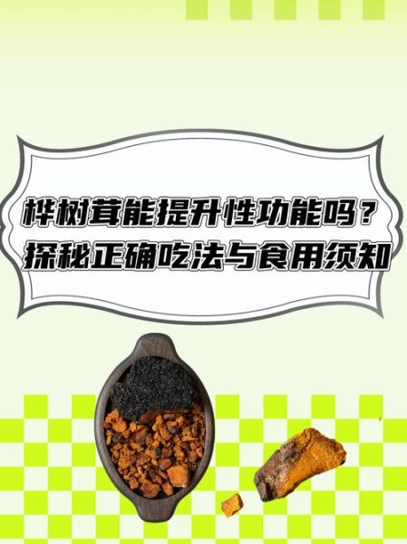 桦树茸的功效与作用_桦树茸怎么吃-第3张图片-山城妙识 桦树茸的功效与作用_桦树茸怎么吃-第3张图片-山城妙识