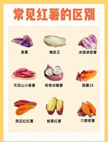 红薯有什么功效_红薯怎么吃最健康-第1张图片-山城妙识