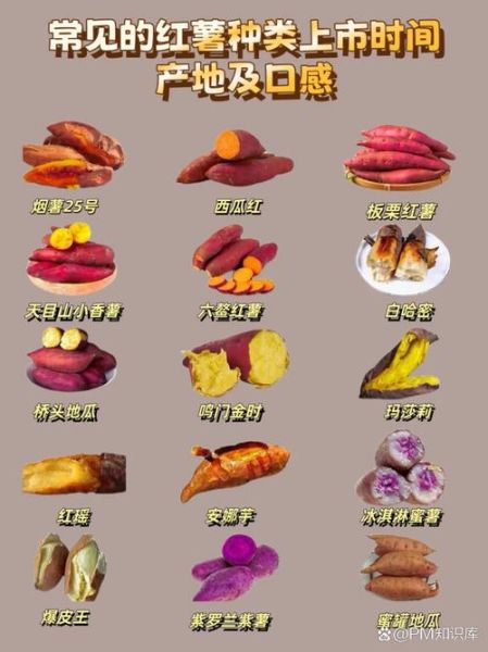 红薯有什么功效_红薯怎么吃最健康-第2张图片-山城妙识