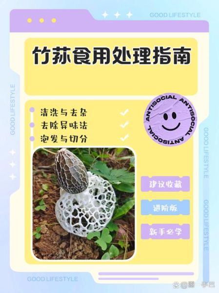 竹荪菌种怎么培植_竹荪菌种培植方法-第2张图片-山城妙识 竹荪菌种怎么培植_竹荪菌种培植方法-第2张图片-山城妙识