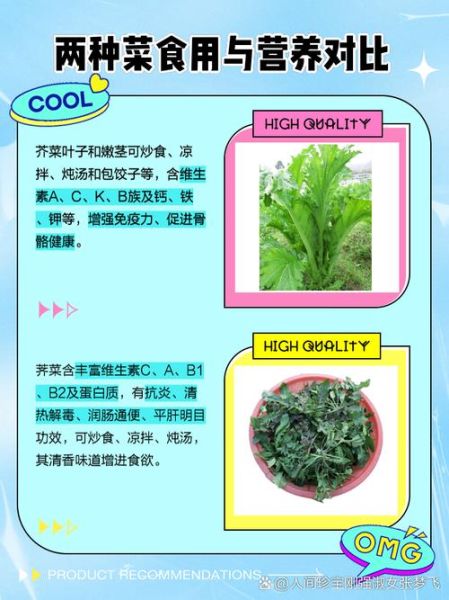 芥菜长什么样_芥菜图片怎么辨别真假-第2张图片-山城妙识