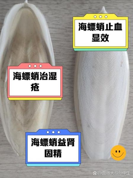 海螵蛸的功效与作用_海螵蛸主要治什么病-第2张图片-山城妙识