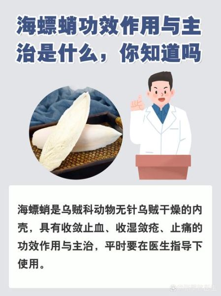 海螵蛸的功效与作用_海螵蛸主要治什么病-第1张图片-山城妙识