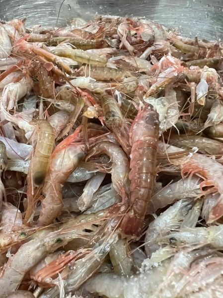 野生小虾怎么清洗_野生小虾怎么做好吃-第1张图片-山城妙识