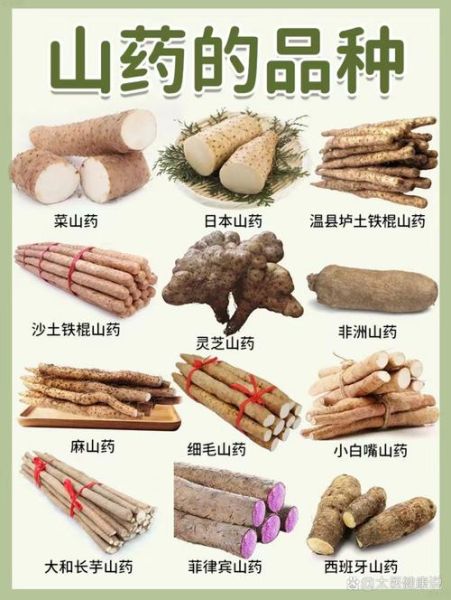 铁棍山药的功效与作用禁忌_哪些人不能吃-第1张图片-山城妙识 铁棍山药的功效与作用禁忌_哪些人不能吃-第1张图片-山城妙识