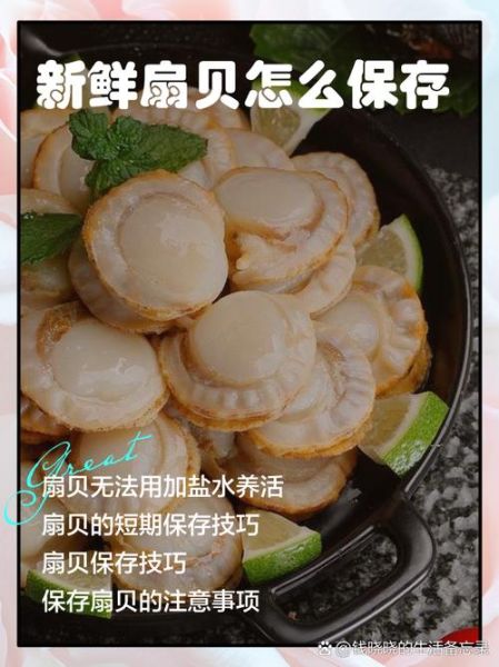 新鲜扇贝怎么处理_扇贝内脏清理步骤-第3张图片-山城妙识