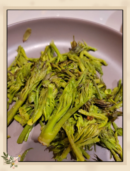 刺嫩芽怎么做好吃_东北野菜刺嫩芽的营养价值-第1张图片-山城妙识