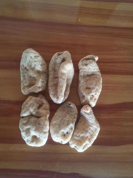 天麻多少钱一斤_天麻价格受哪些因素影响-第1张图片-山城妙识 天麻多少钱一斤_天麻价格受哪些因素影响-第1张图片-山城妙识