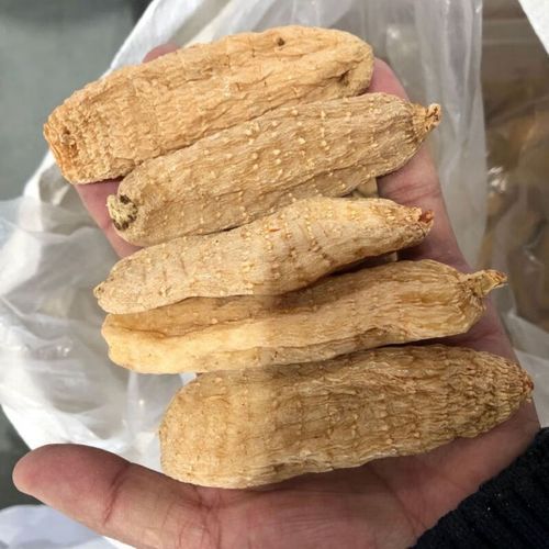 天麻多少钱一斤_天麻价格受哪些因素影响-第3张图片-山城妙识 天麻多少钱一斤_天麻价格受哪些因素影响-第3张图片-山城妙识