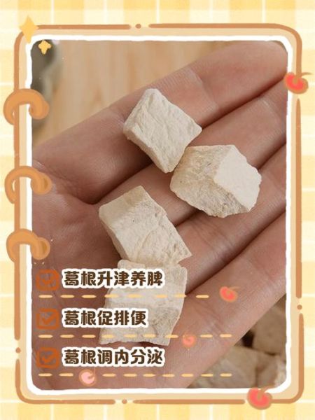 女人喝葛根泡水有什么好处_葛根泡水喝的正确方法-第3张图片-山城妙识 女人喝葛根泡水有什么好处_葛根泡水喝的正确方法-第3张图片-山城妙识