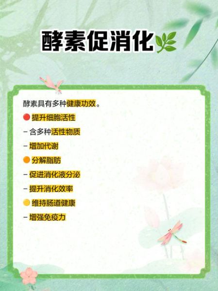 酵素的作用与功效_酵素真的能减肥吗-第1张图片-山城妙识