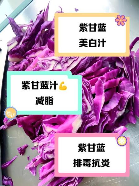 紫甘蓝榨汁的功效_紫甘蓝榨汁能减肥吗-第1张图片-山城妙识