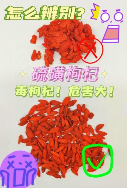 枸杞图片大全大图_枸杞怎么挑选-第1张图片-山城妙识