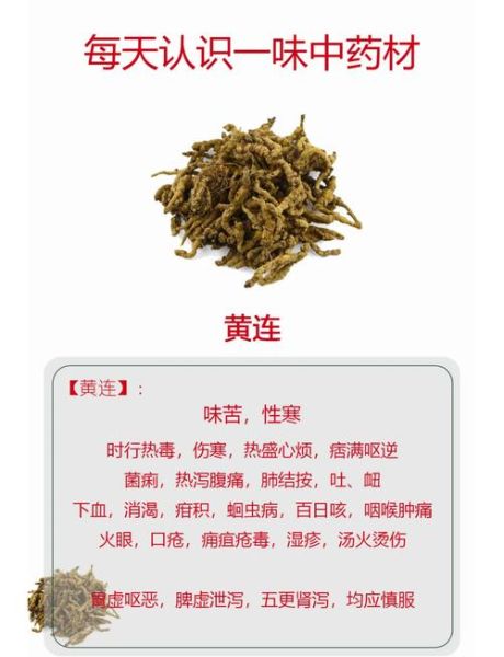 黄连素能降血糖吗_黄连素副作用有哪些-第2张图片-山城妙识 黄连素能降血糖吗_黄连素副作用有哪些-第2张图片-山城妙识