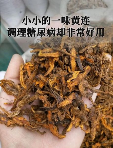 黄连素能降血糖吗_黄连素副作用有哪些-第1张图片-山城妙识 黄连素能降血糖吗_黄连素副作用有哪些-第1张图片-山城妙识