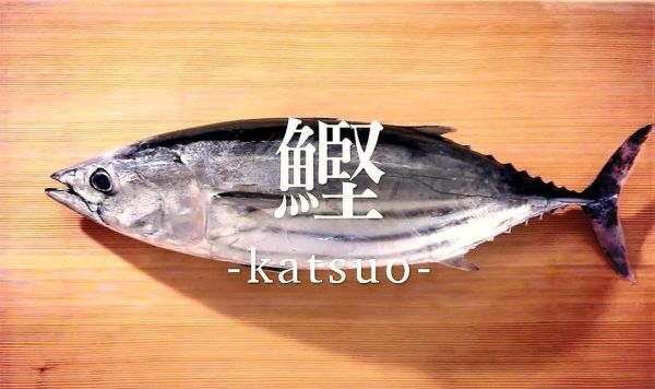 鲣鱼的营养价值及功效_鲣鱼怎么吃最健康-第2张图片-山城妙识 鲣鱼的营养价值及功效_鲣鱼怎么吃最健康-第2张图片-山城妙识