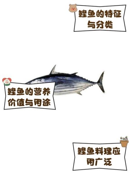 鲣鱼的营养价值及功效_鲣鱼怎么吃最健康-第1张图片-山城妙识 鲣鱼的营养价值及功效_鲣鱼怎么吃最健康-第1张图片-山城妙识