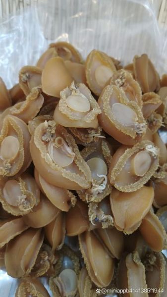 淡菜高清图片怎么拍_淡菜图片大全有哪些角度-第2张图片-山城妙识