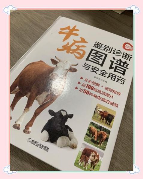 牛肺疫的症状有哪些_牛肺疫怎么治疗-第1张图片-山城妙识